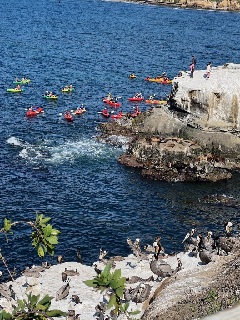 La Jolla Cove – Rajib Roy